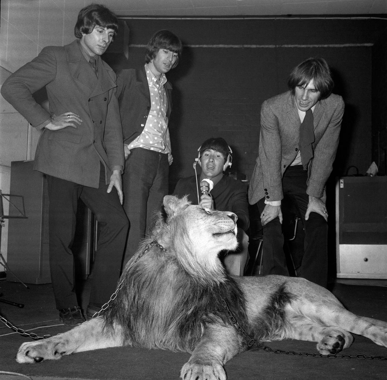It Was 50 Years Ago Today: "Wild Thing" by The Troggs | REBEAT Magazine